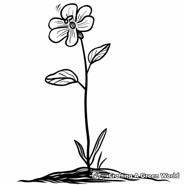 Buttercup Coloring Pages - Free & Printable!