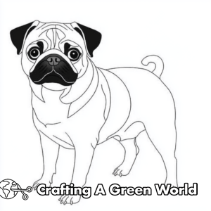 Pug Coloring Pages - Free & Printable!
