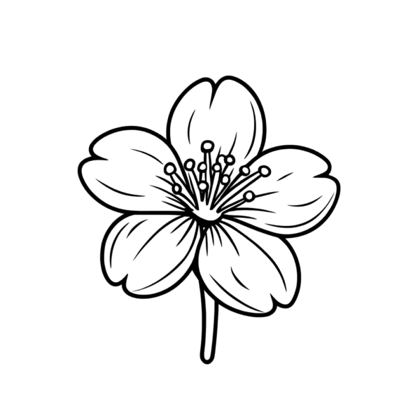 Spring Flowers Coloring Pages - Free & Printable!