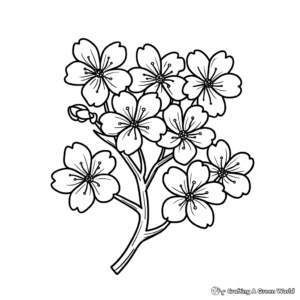 Spring Flowers Coloring Pages - Free & Printable!
