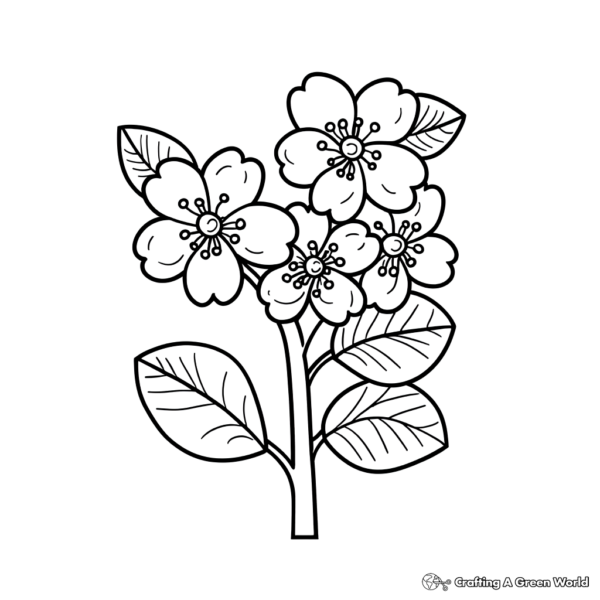 Spring Flowers Coloring Pages - Free & Printable!
