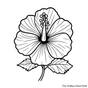 Summer Flower Coloring Pages - Free & Printable!