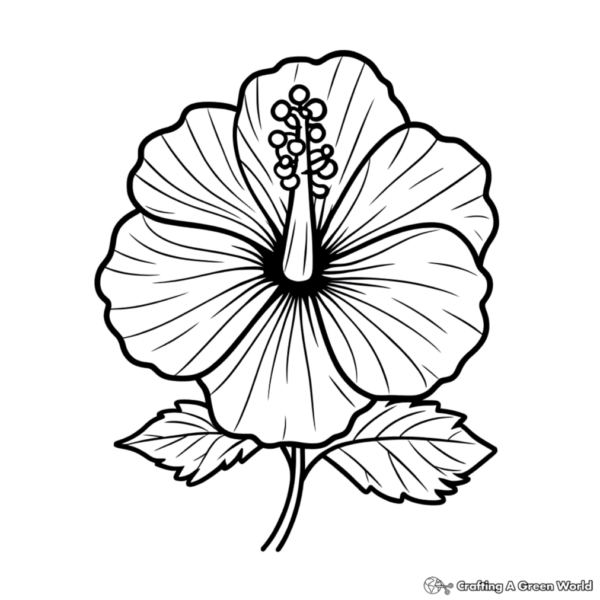 Summer Flower Coloring Pages - Free & Printable!