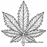 Weed Coloring Pages - Free & Printable!