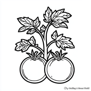 Vegetable Garden Coloring Pages - Free & Printable!